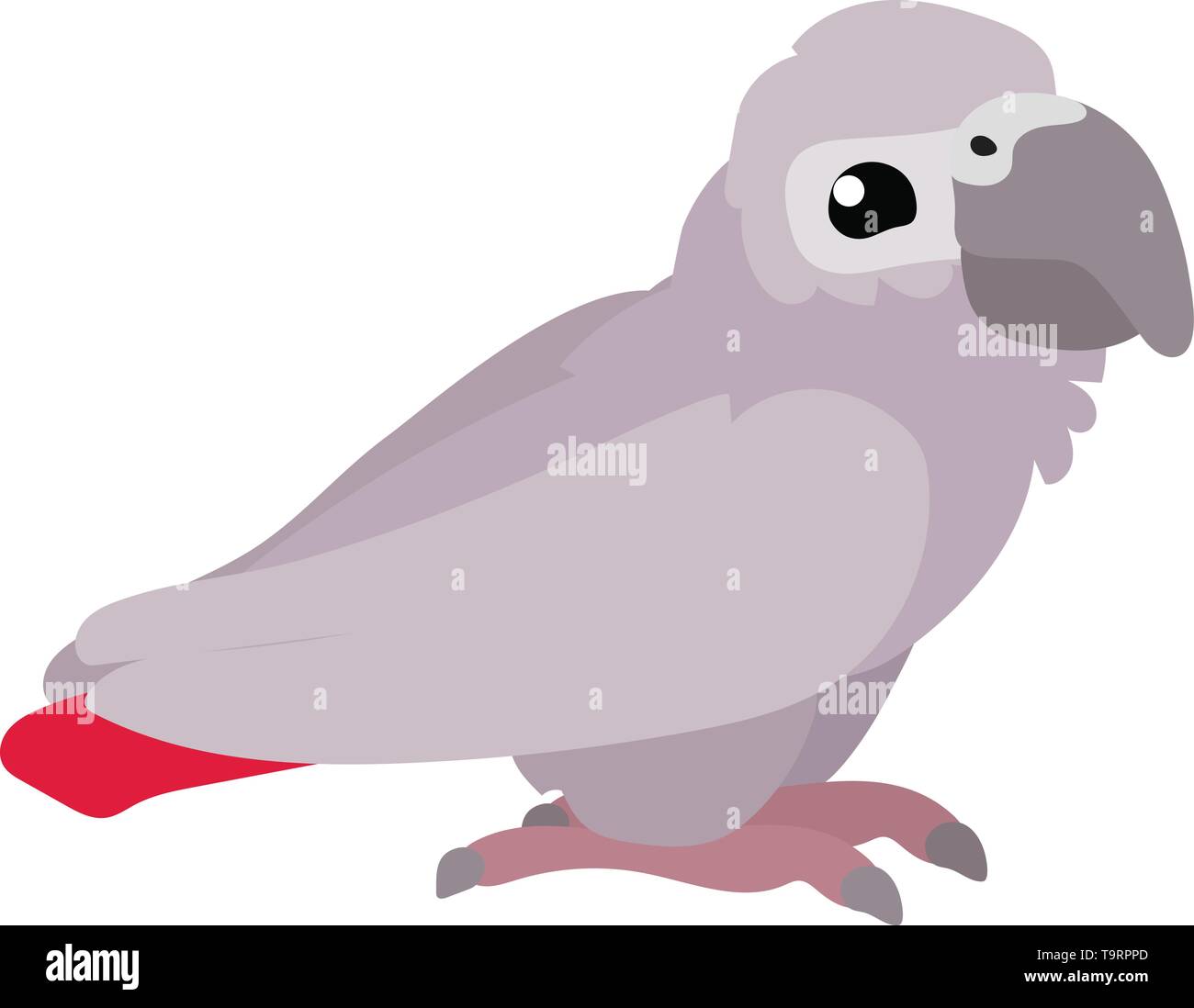 vector flat cartoon animal clip art grey parrot Stock Vector Image ...