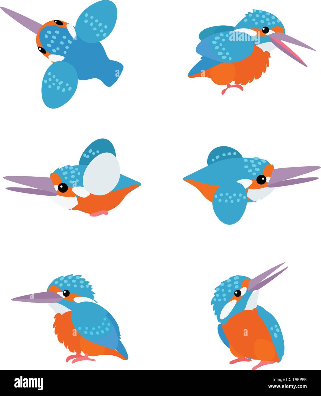 vector flat cartoon animal clip art kingfisher birds set Stock Vector ...
