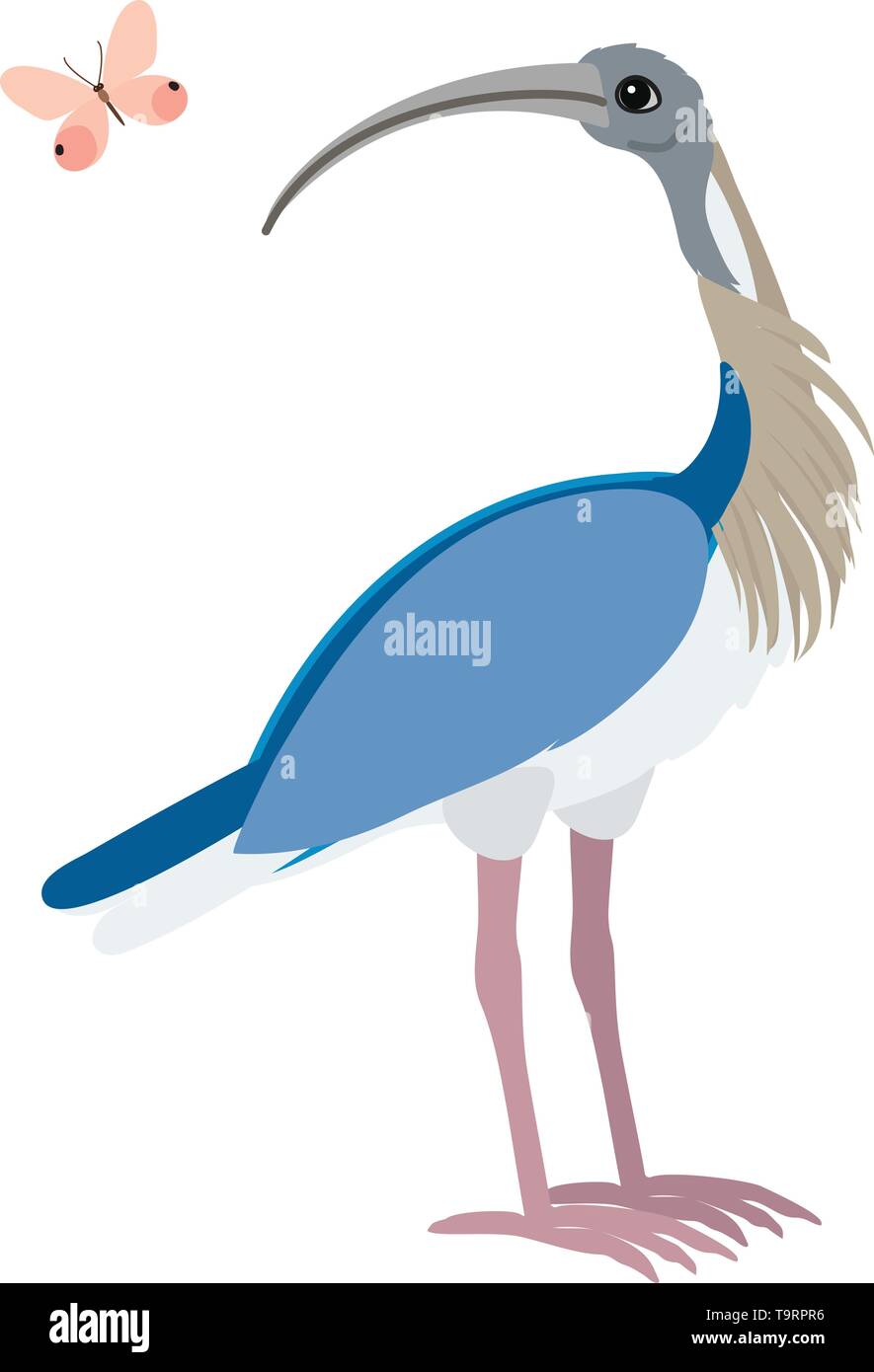 vector flat cartoon animal clip art ibis bird Stock Vector Image & Art ...