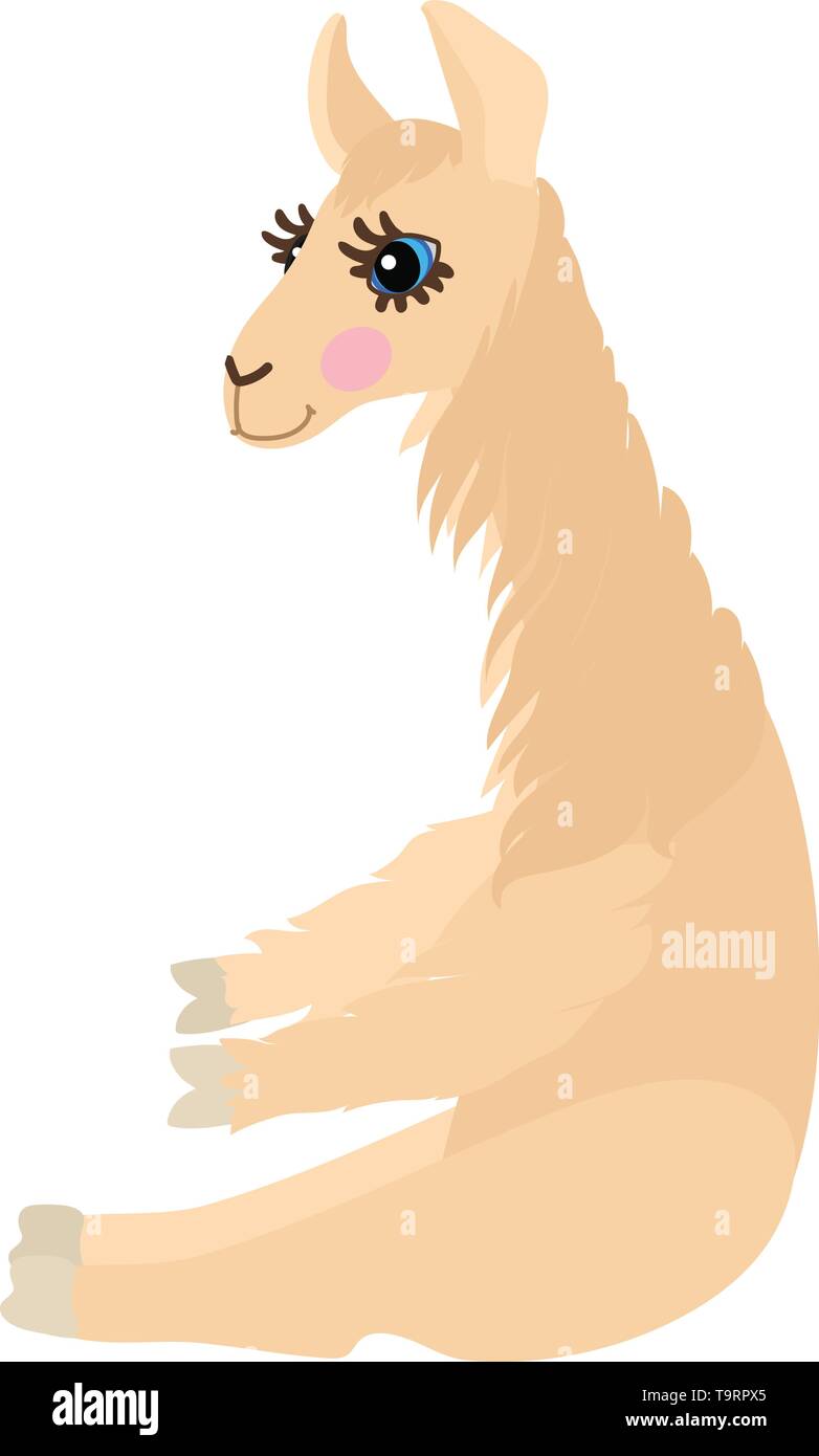vector flat cartoon animal clip art lady llama Stock Vector Image & Art ...
