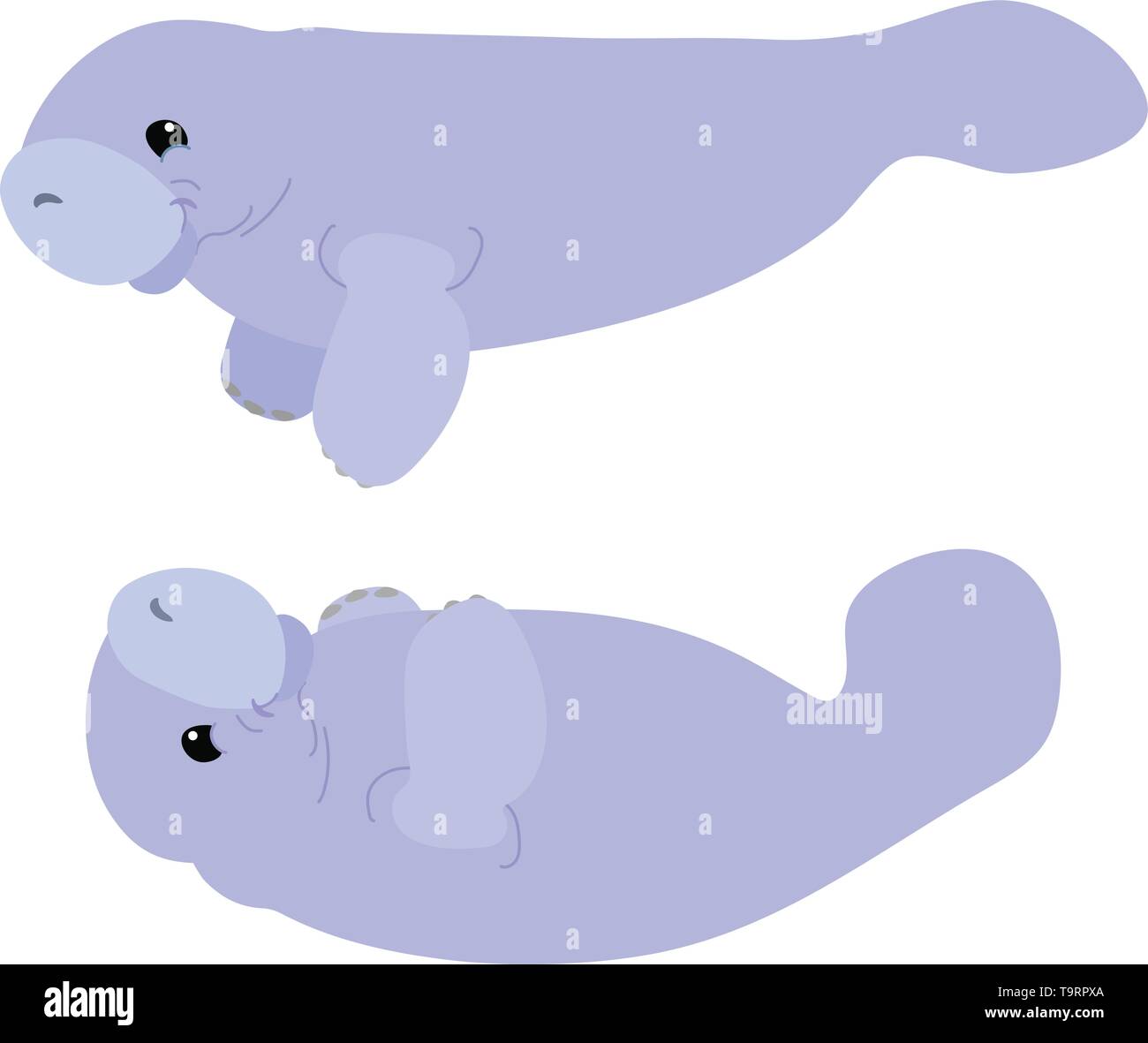 Manatee animal clipart Stock Vector Images - Alamy