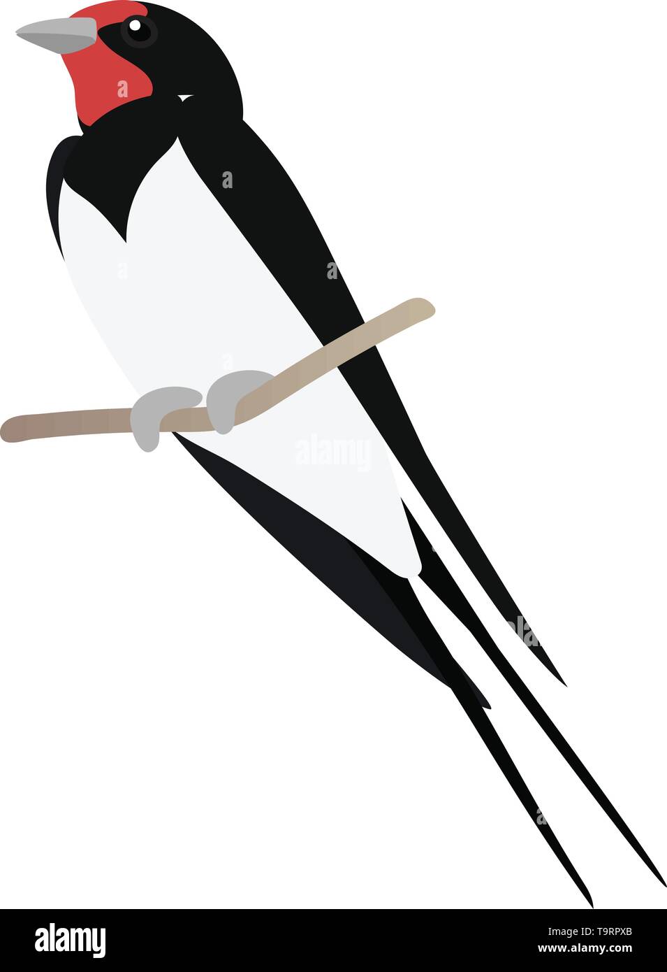 vector flat cartoon animal clip art swallow bird Stock Vector Image ...