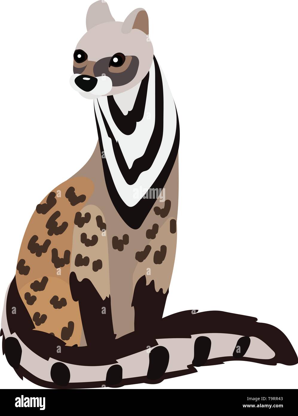 Civet Cat High Resolution Stock Photography and Images - Alamy