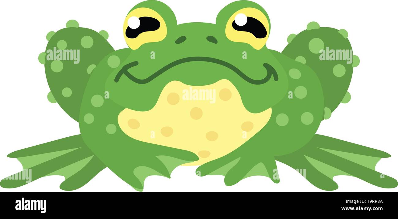 vector flat cartoon animal clip art green frog, toad Stock Vector Image ... vector flat cartoon animal clip art green frog, toad Stock Vector Image ...