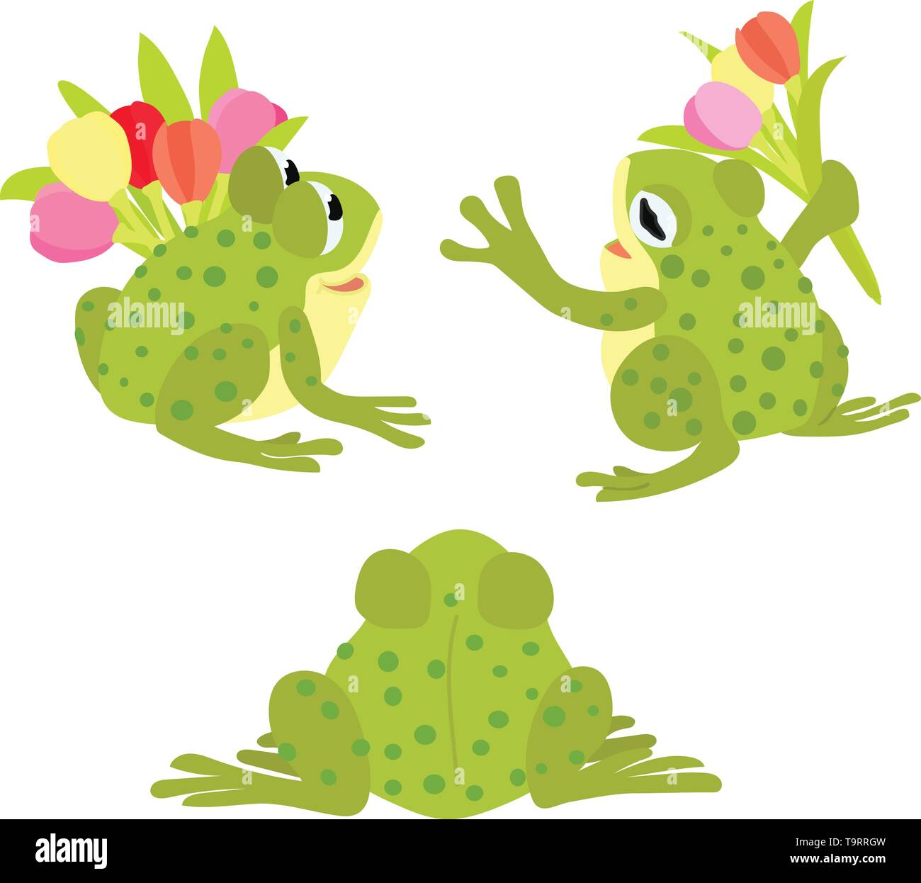 vector flat cartoon animal clip art green toad, frog Stock Vector Image ...