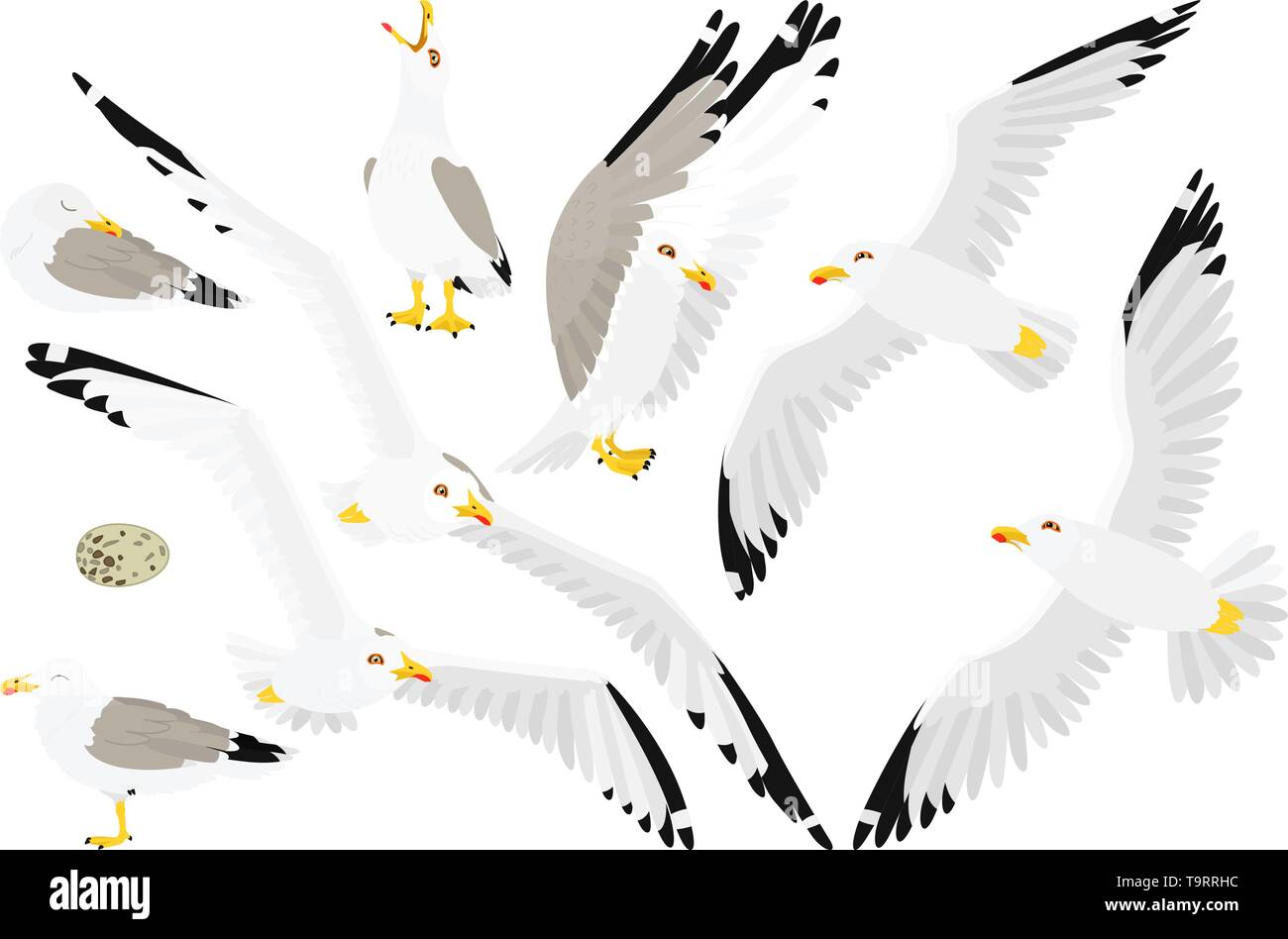 vector flat cartoon animal clip art seagull sea gull set Stock Vector ...