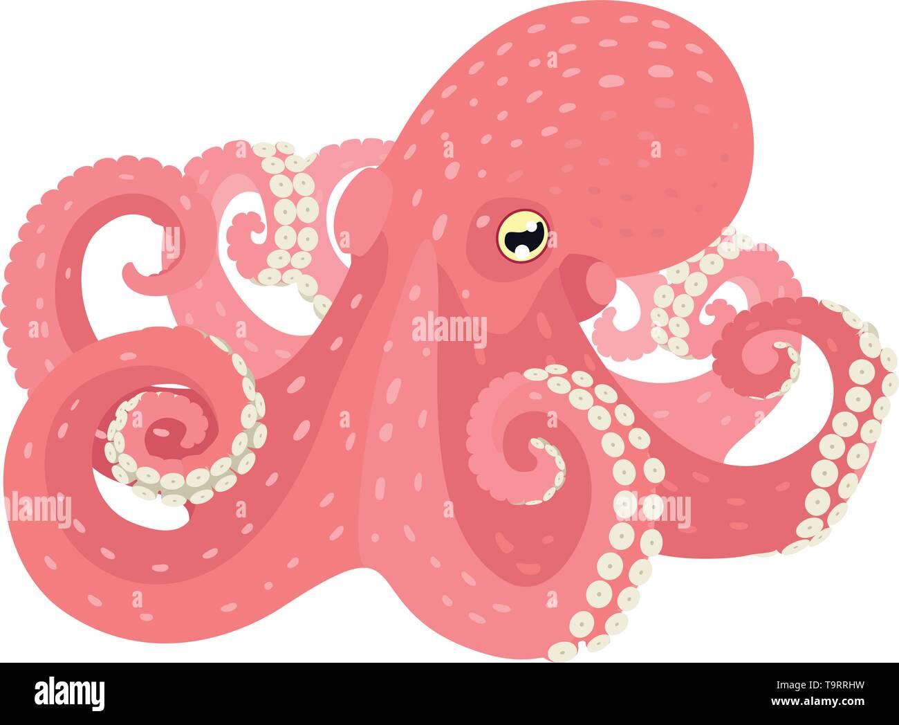 Squid clipart hi-res stock photography and images - Alamy
