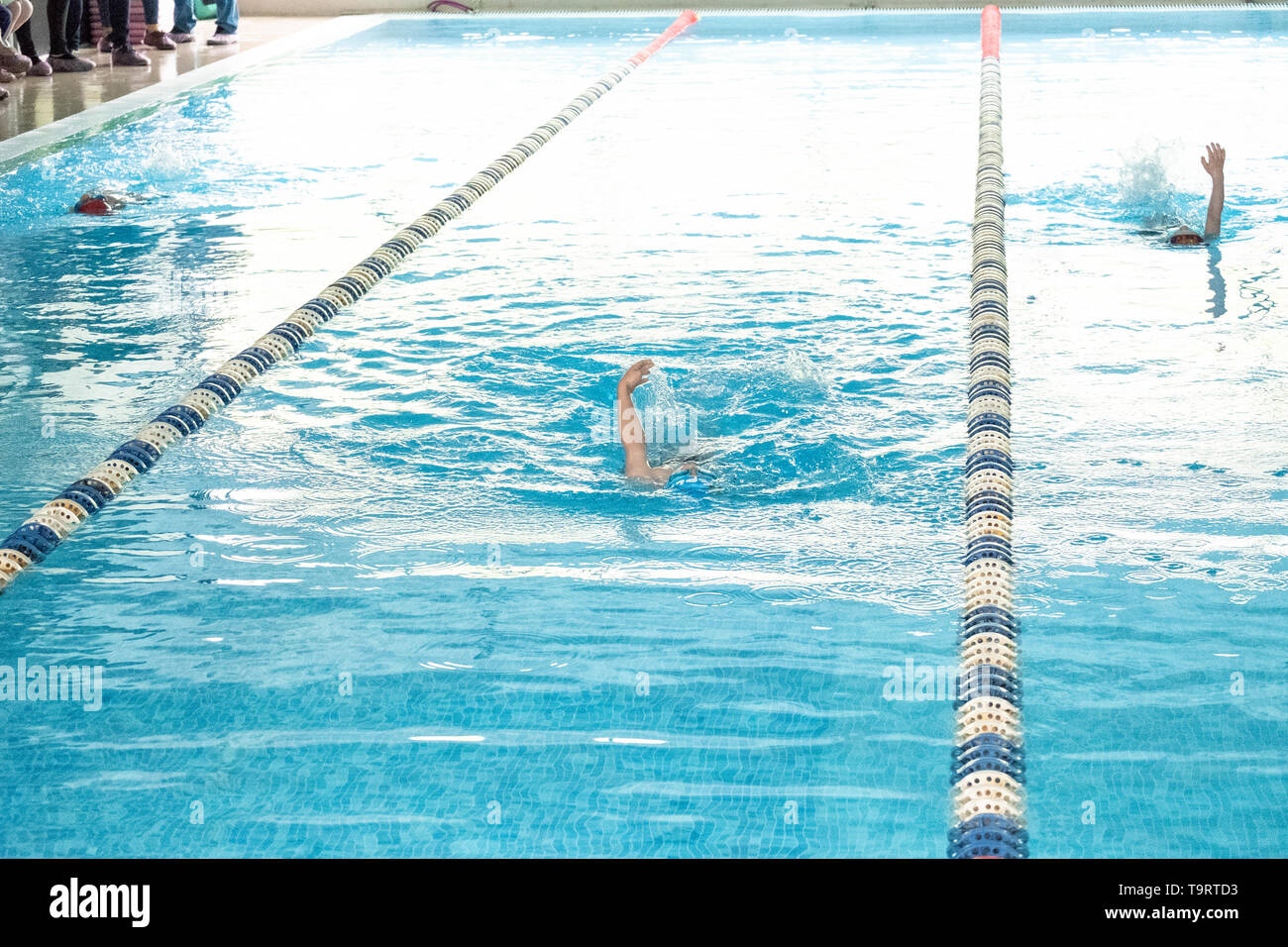 Female backstroke swimmer hi-res stock photography and images - Alamy