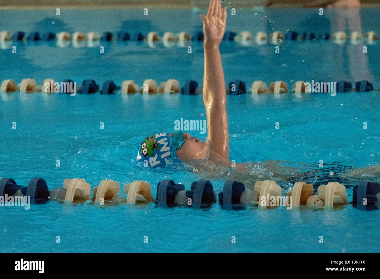 Swimmer Backstroke Race High Resolution Stock Photography and Images ...