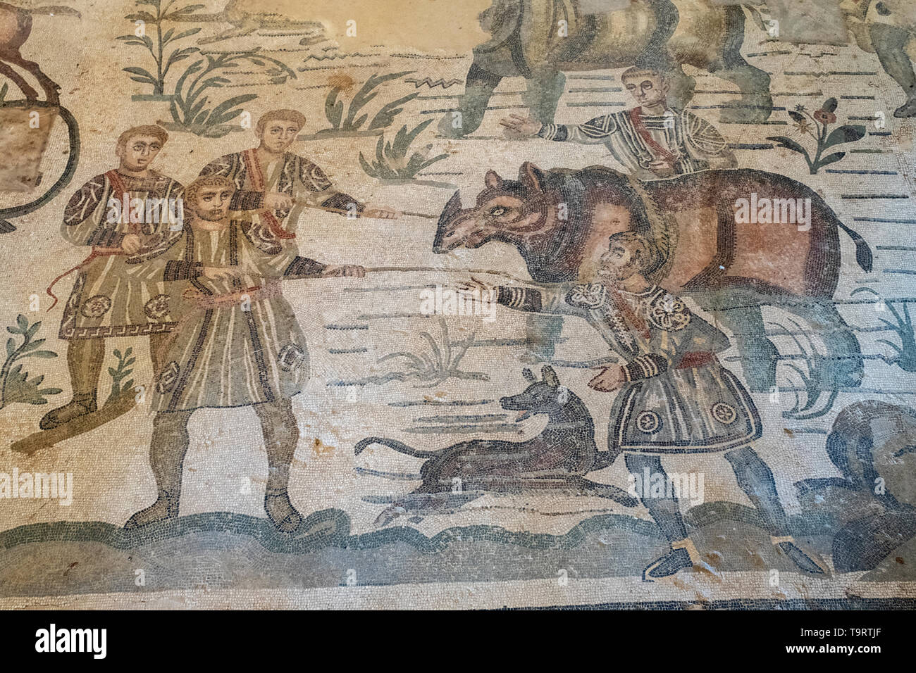 Great Hunt mosaic-capture and transportation of animals Roman mosaic in ...