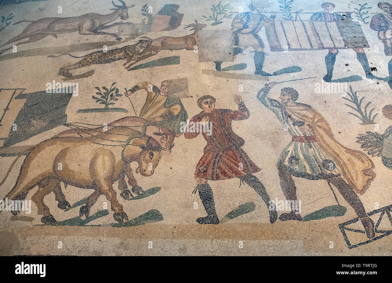 Great Hunt mosaic-capture and transportation of animals Roman mosaic in ...