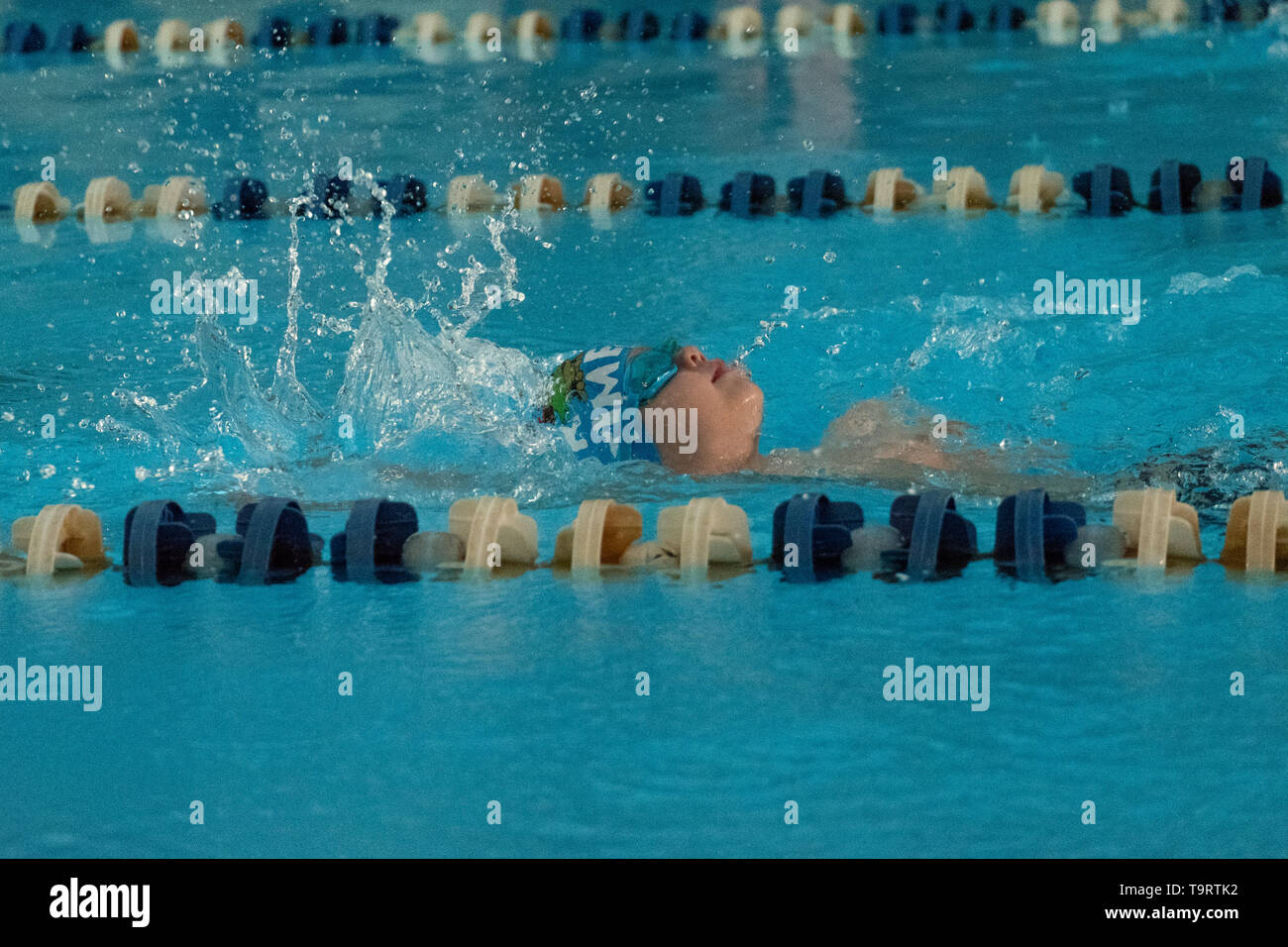 Female backstroke swimmer hi-res stock photography and images - Alamy