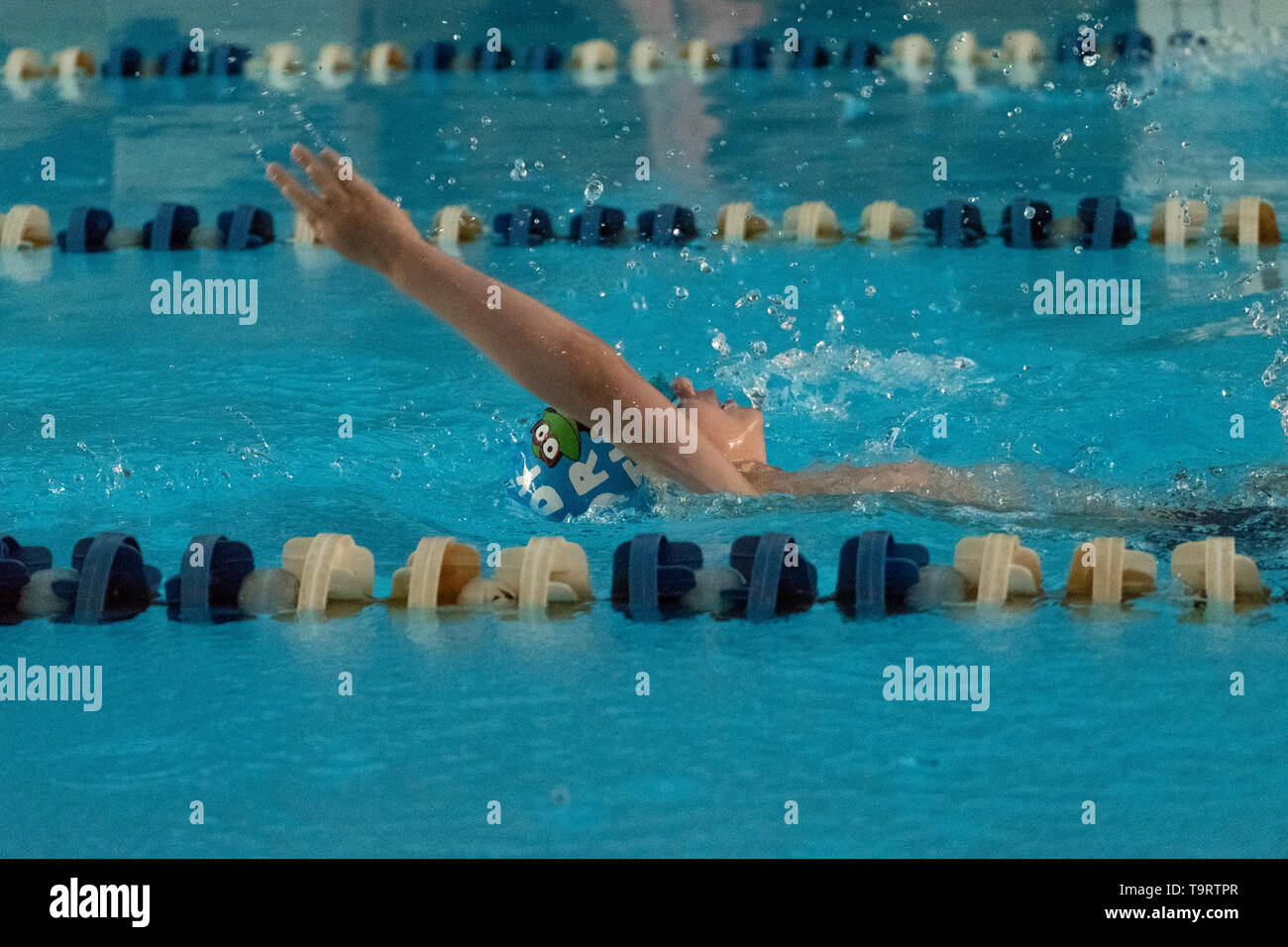 Kid swim backstroke hi-res stock photography and images - Alamy