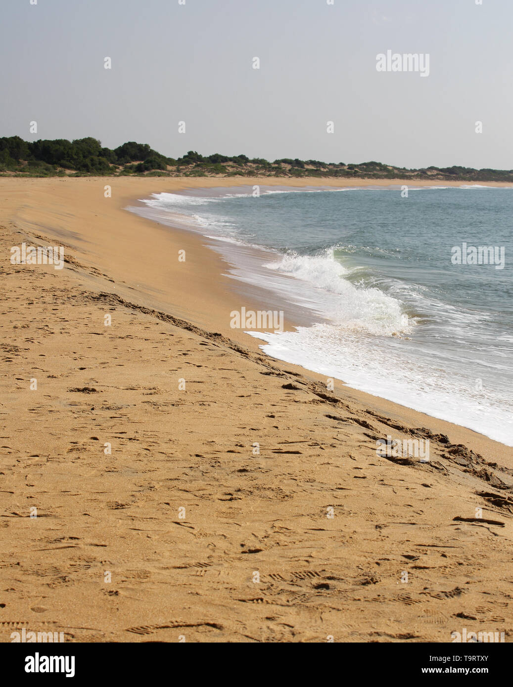 Yala national park beach hi-res stock photography and images - Alamy