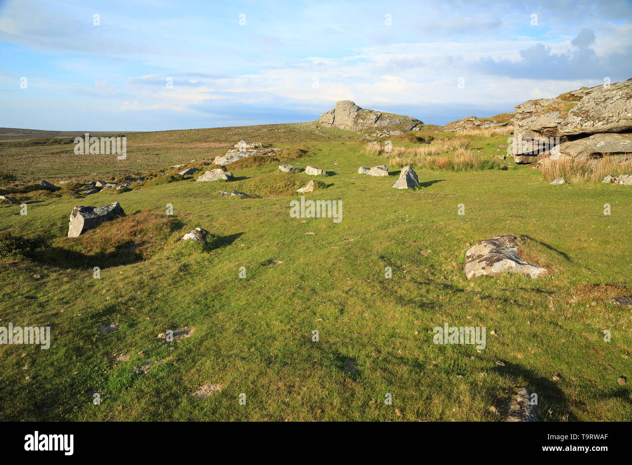 Haytor, Dartmoor National Park, Devon, England, UK Stock Photo - Alamy