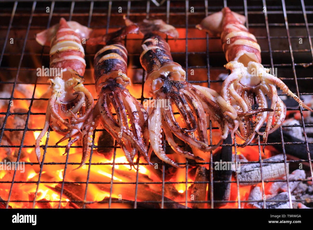Squid BBQ grill on hot charcoal hot fire tasty delicious sea food Stock ...