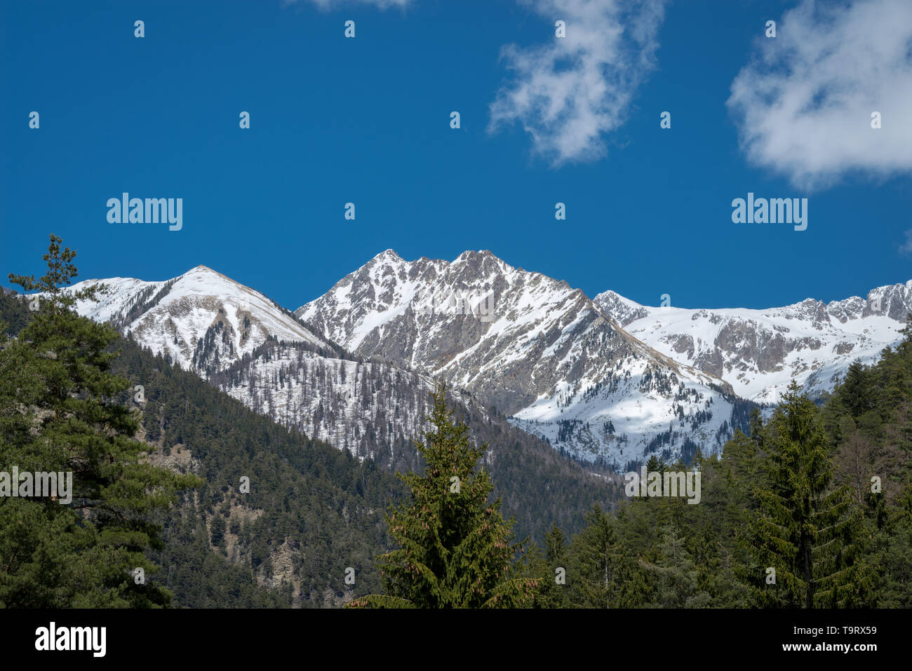 Maritime Alps, Mercantour National Park, France Stock Photo - Alamy