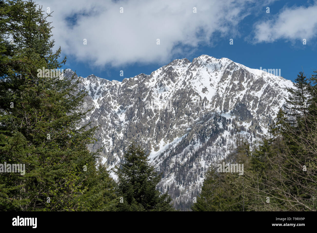 Maritime Alps, Mercantour National Park, France Stock Photo - Alamy