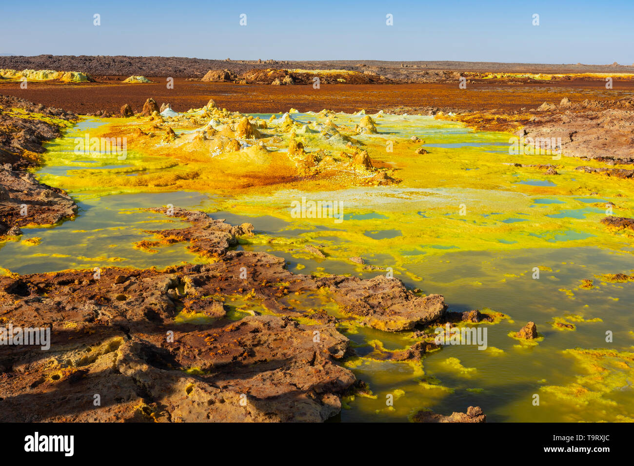 Acid ponds in dallol ethiopia hi-res stock photography and images - Alamy