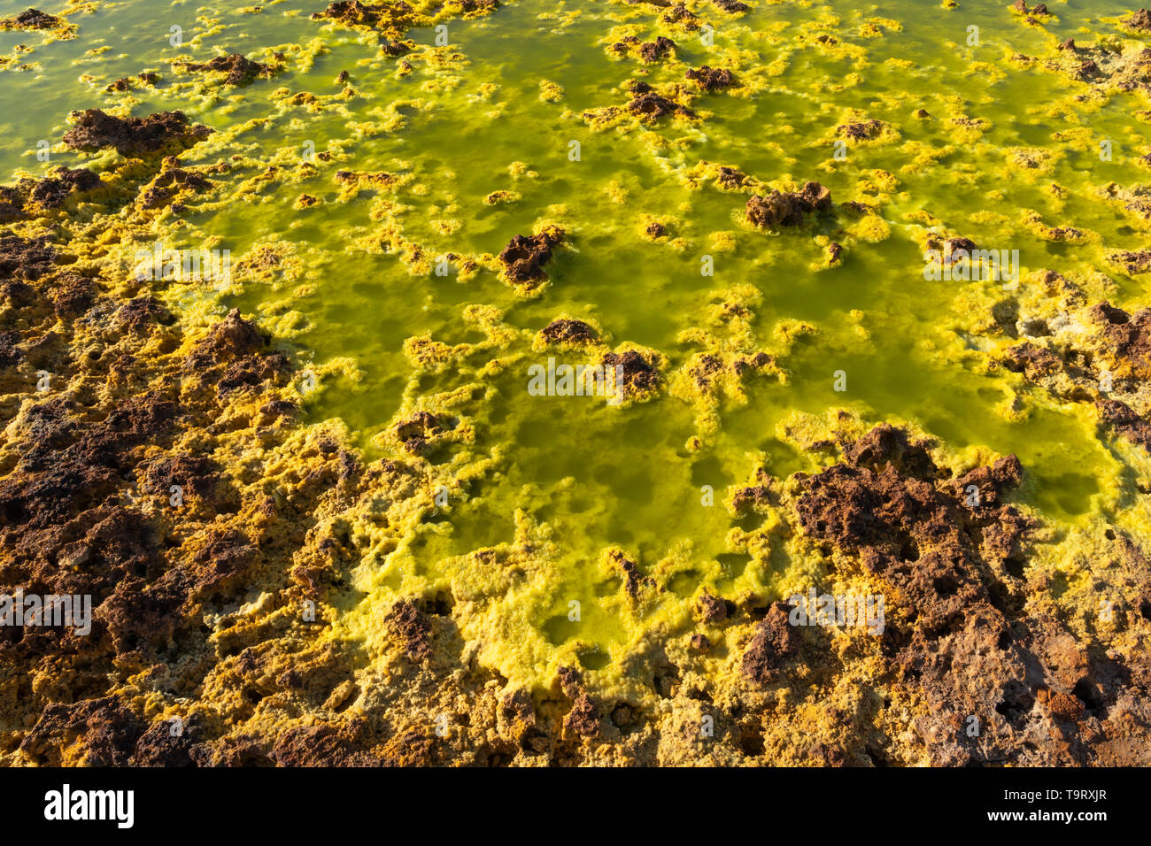 Acid ponds in Dallol site in the Danakil Depression in Ethiopia, Africa ...