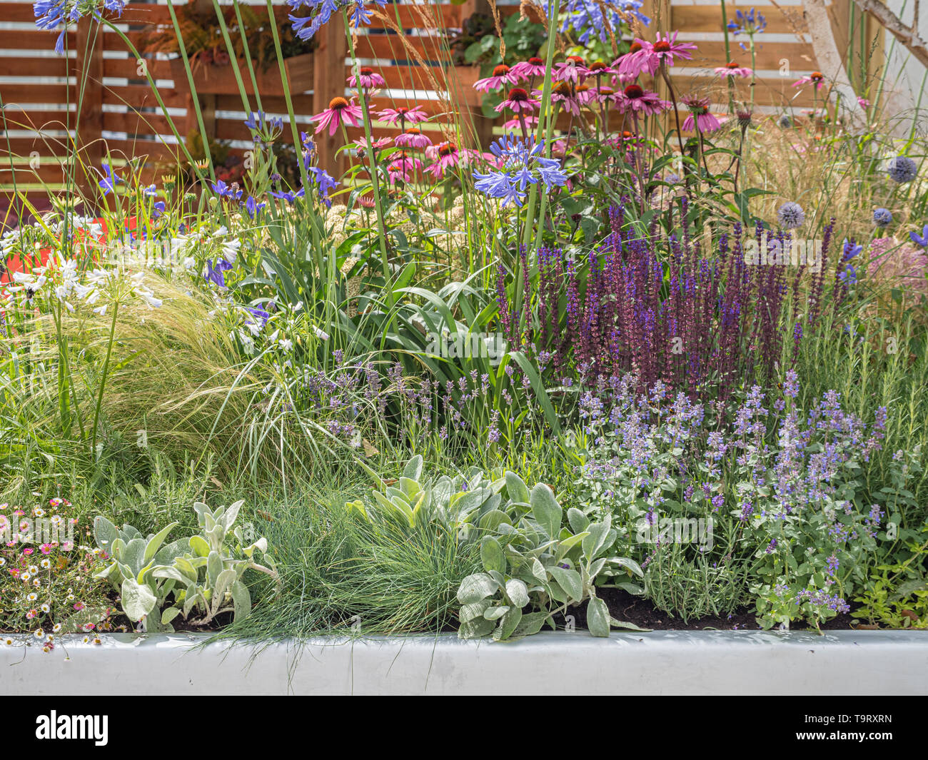 Ornamental grasses hi-res stock photography and images - Alamy