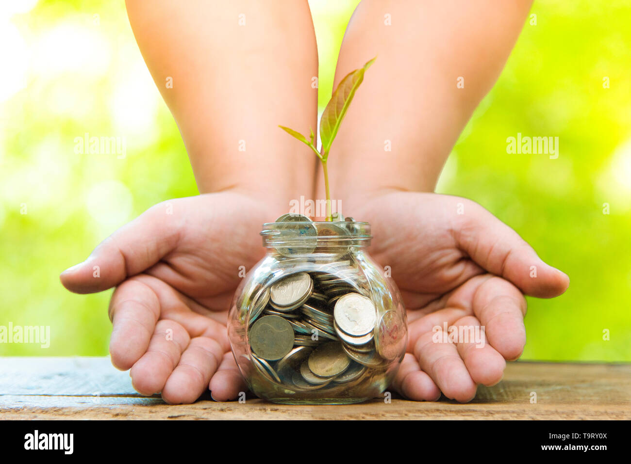 Trees with money, saving money and growing hands Stock Photo - Alamy