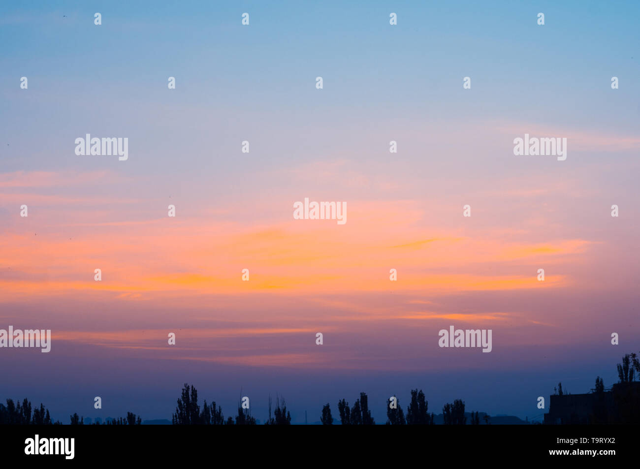 Landscape with dramatic light - beautiful golden sunset with saturated ...