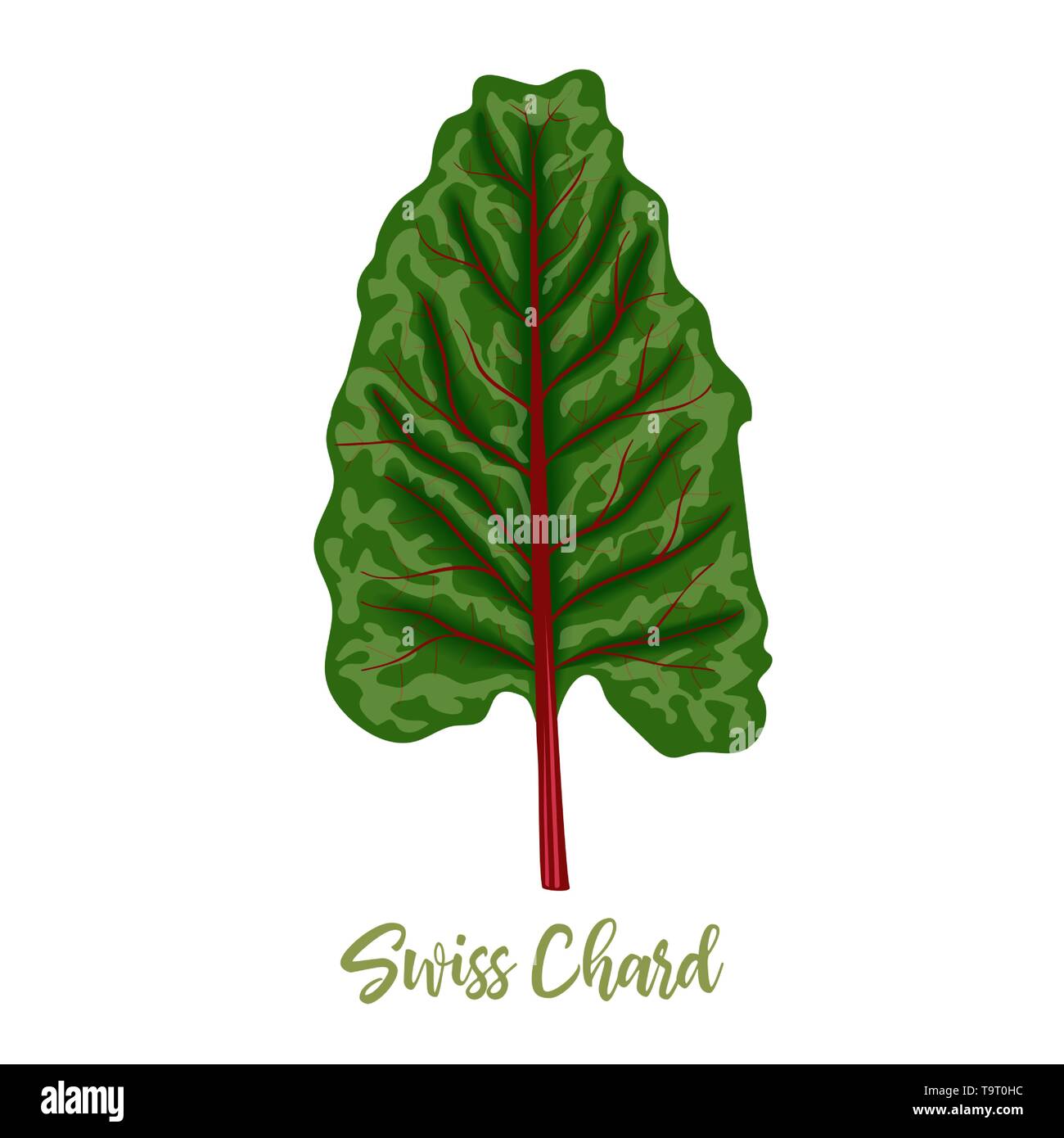 Kale, cabbage, chard Stock Vector Images - Alamy