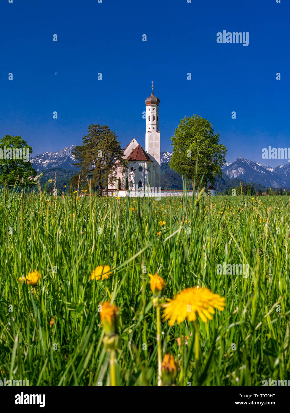 Pilgrimage church Saint Coloman with feet, Ostallgäu, Allgäu, Bavaria ...
