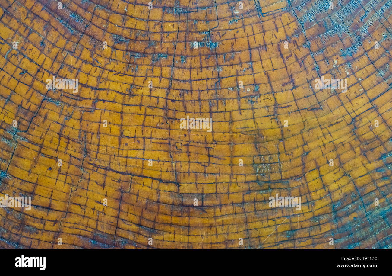 varnished tree stump texture in macro closeup, modern furniture design ...