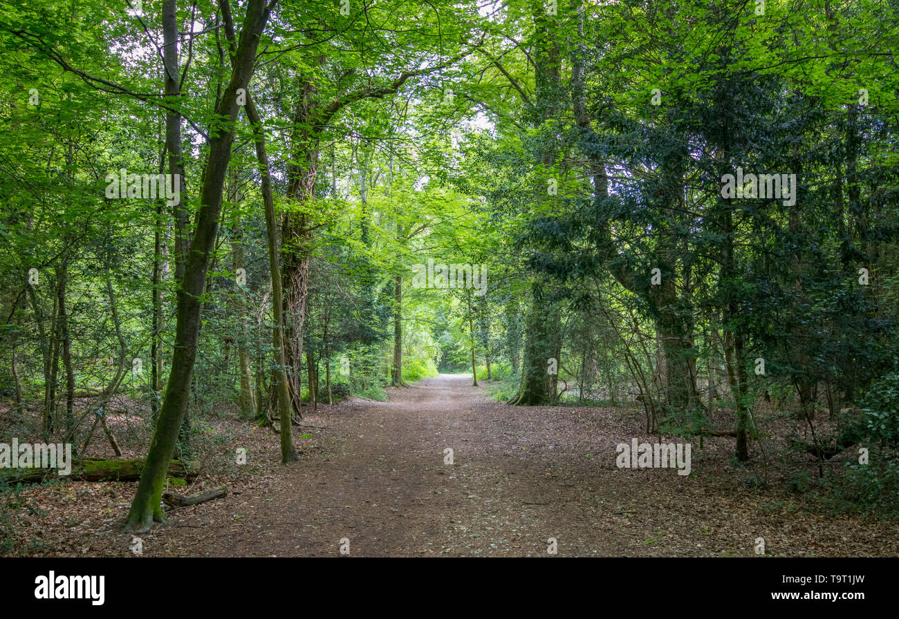 Slindon estate hi-res stock photography and images - Alamy
