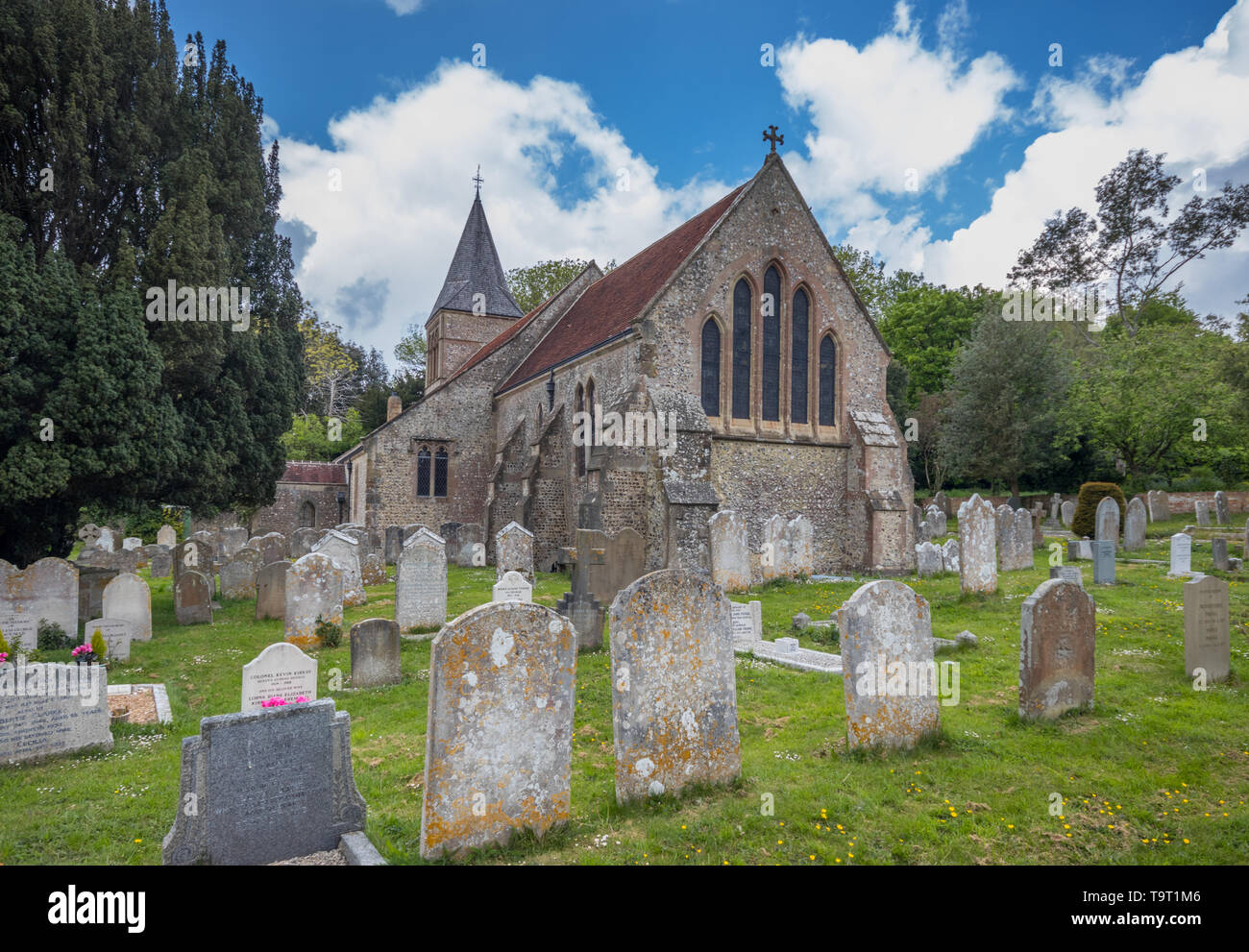 Slindon woods hi-res stock photography and images - Alamy