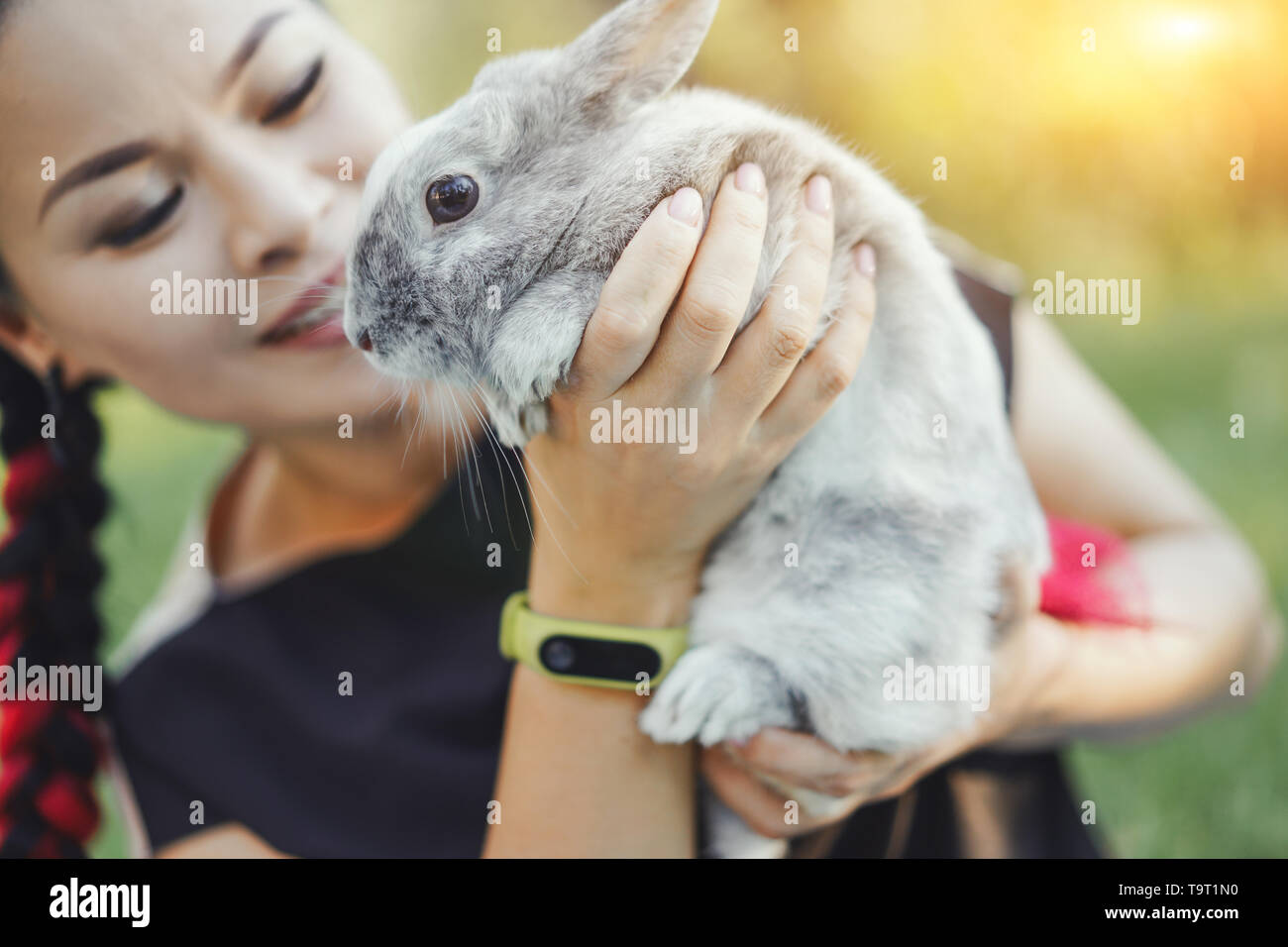 Close-up of Pretty Asian Hugging Bunny on Nature Stock Photo - Alamy