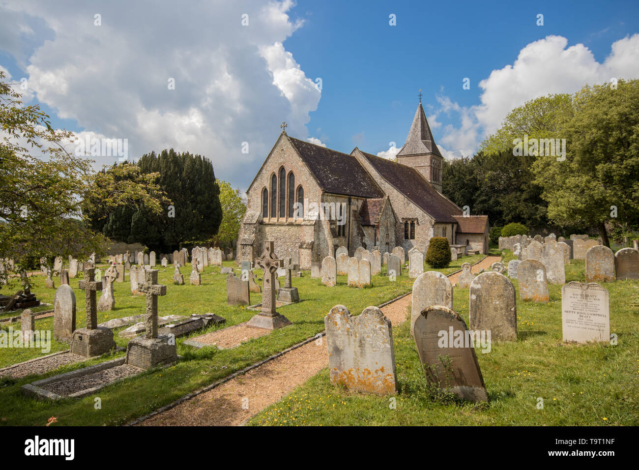 Slindon Estate High Resolution Stock Photography and Images - Alamy