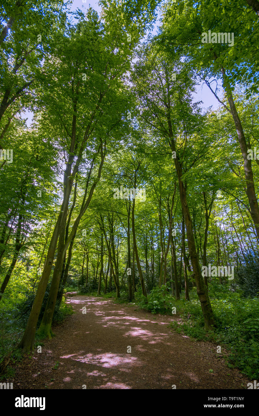 Slindon estate hi-res stock photography and images - Alamy