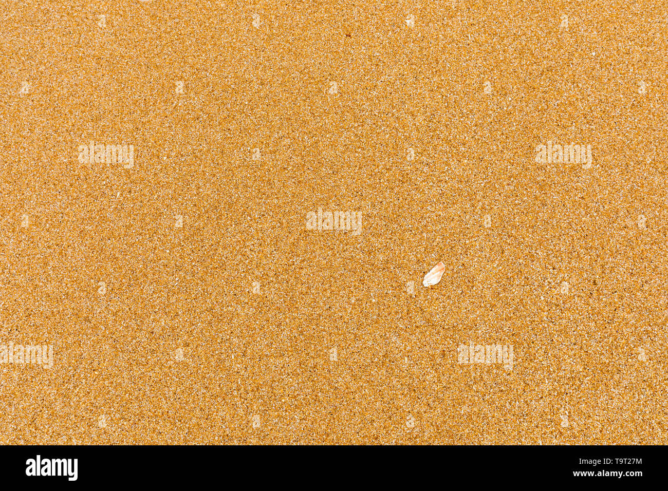 Sand surface and background. Sand Texture. Brown sand. Background from ...