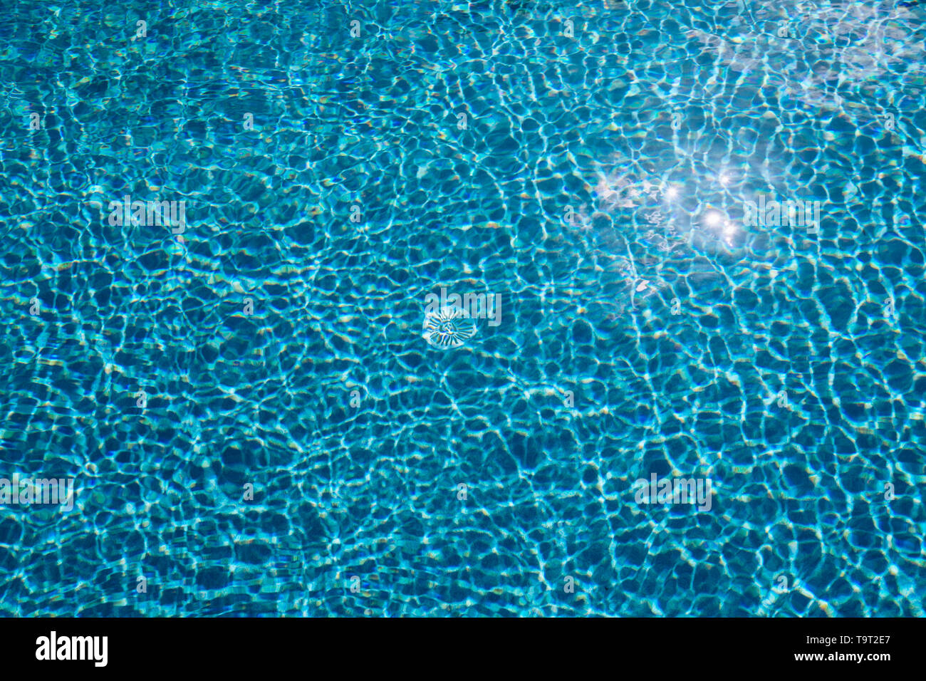 Blue ripped water in swimming pool. Surface of blue swimming pool ...