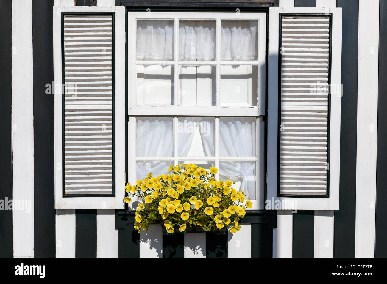 Colored Windows of "Costa Nova do Prado", Portugal. Windows in typical ...