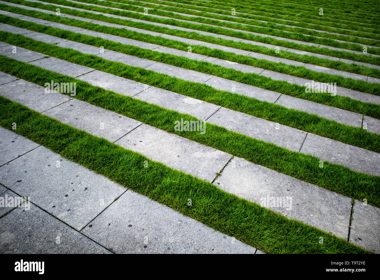 path in grass Stock Photo - Alamy