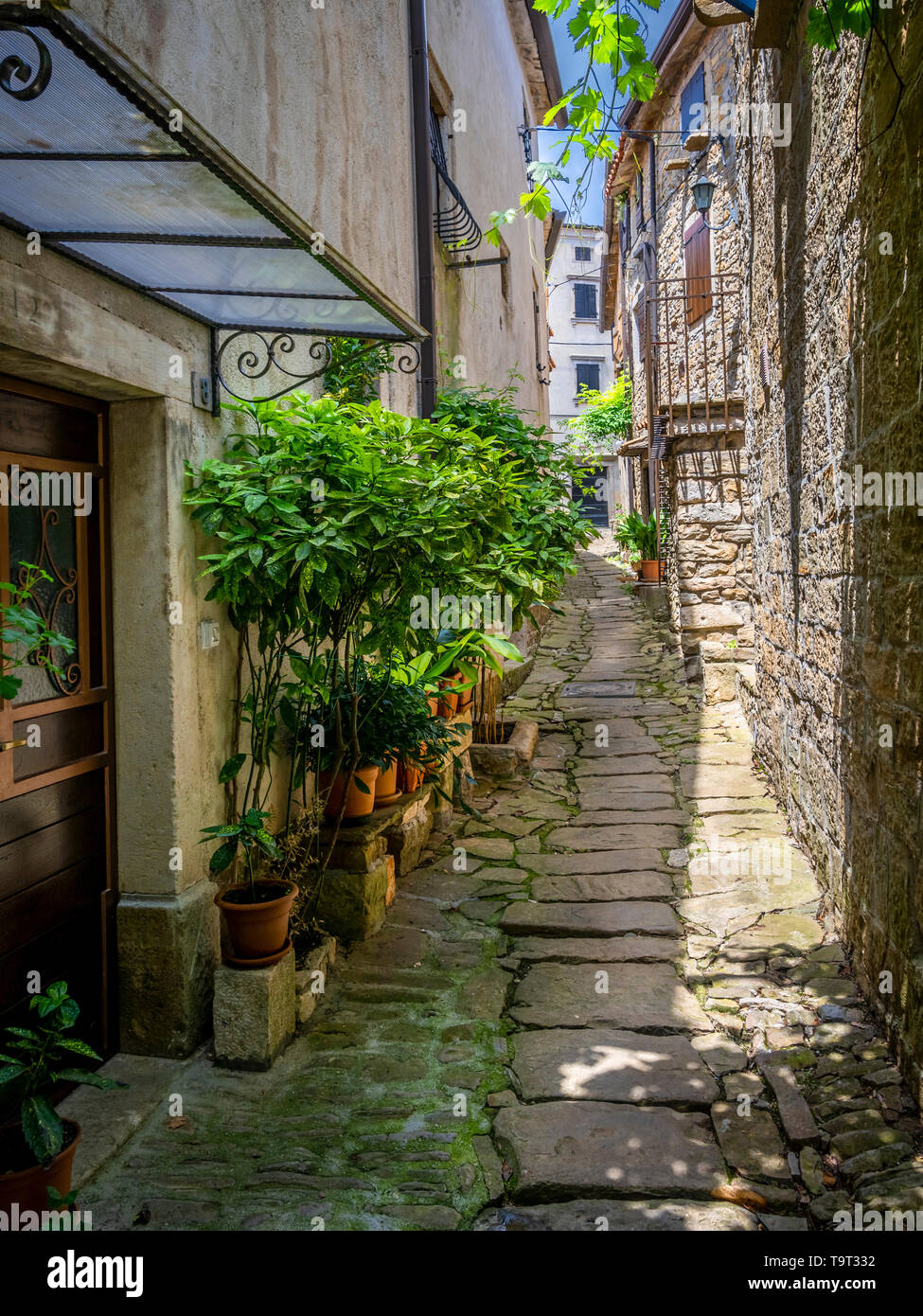 Artist's place and mountain village of Groznjan, Istrien, Croatia ...