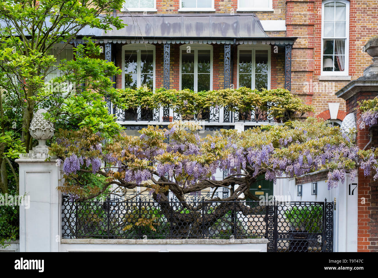 Cheyne walk hi-res stock photography and images - Alamy