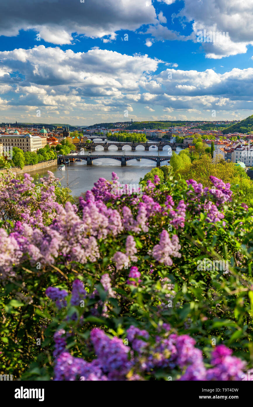 Amazing spring cityscape, Vltava river and old city center with ...