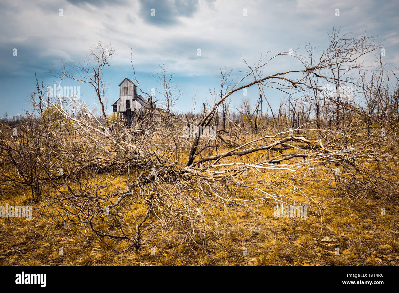 Landscape with an abandoned old factory in Chernobyl disaster area in ...