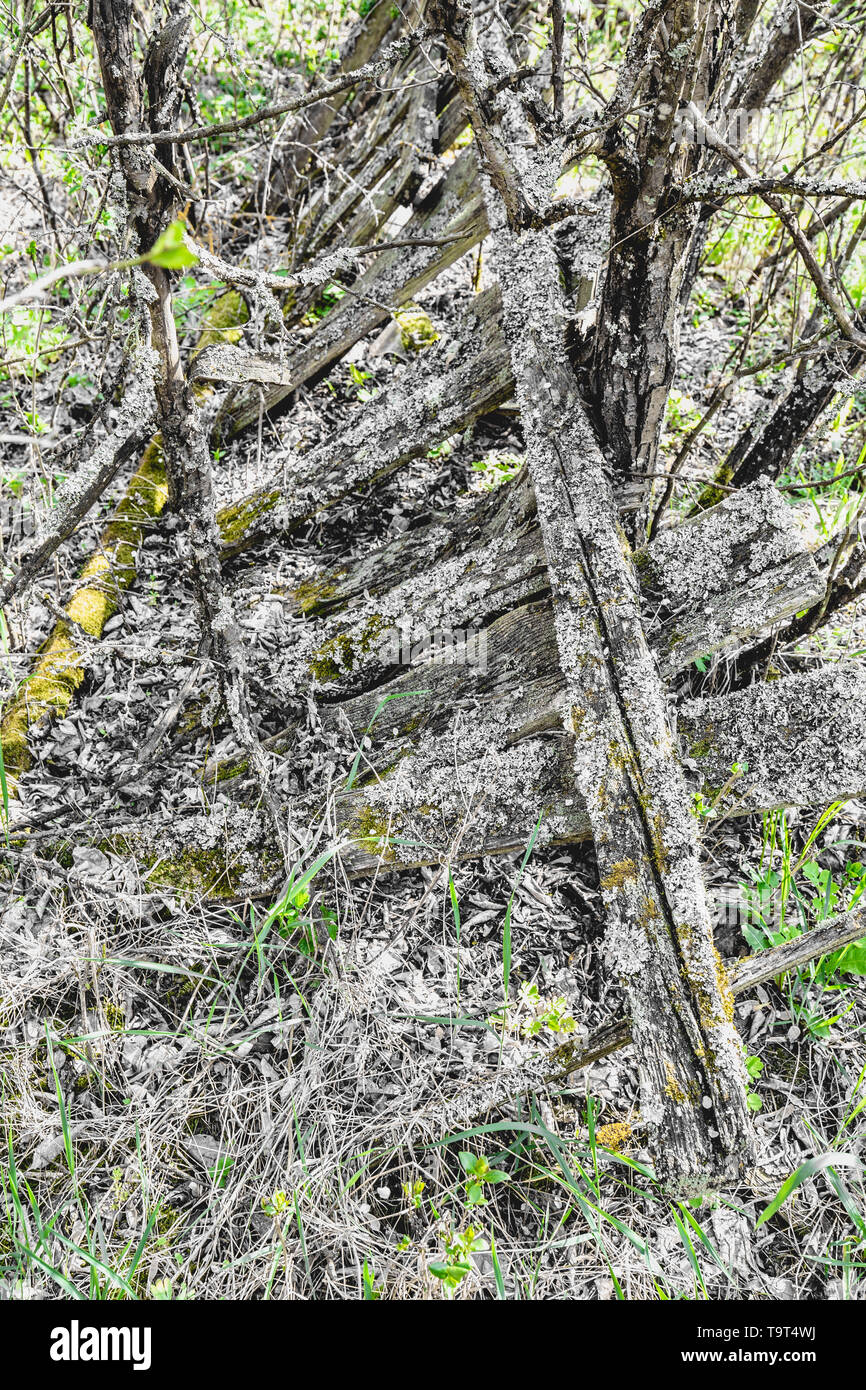 Chernobyl texture hi-res stock photography and images - Alamy