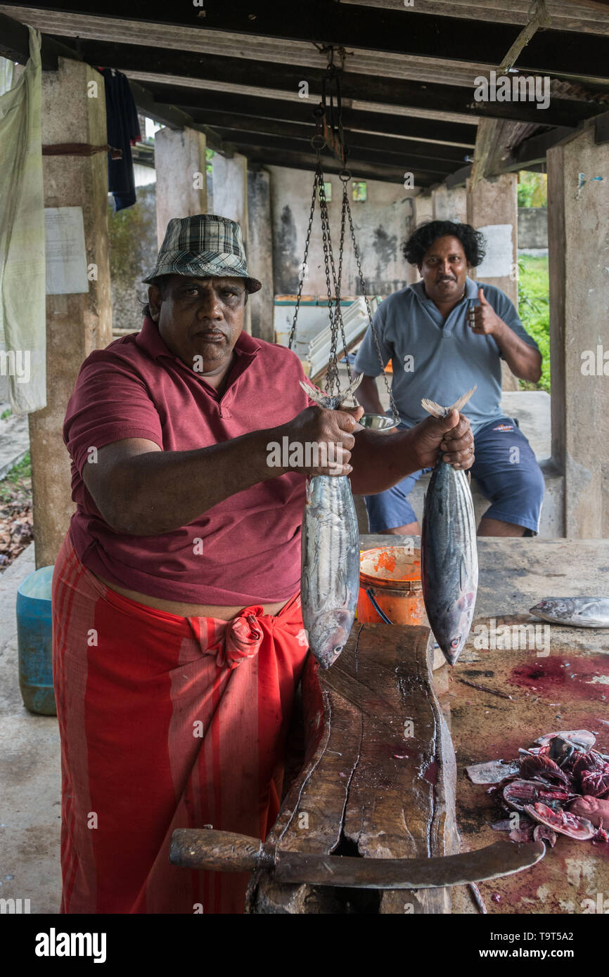 Sri Lanka trip, day 13: this fishmonger and his friend posed for me in ...