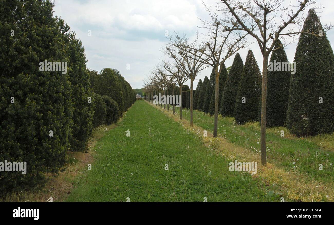 Typical dutch nature on a spring day in the Netherlands Stock Photo - Alamy