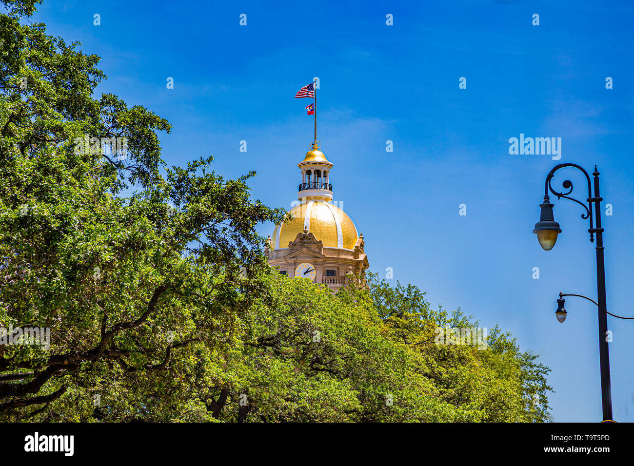 Gold Dome Past Trees Stock Photo - Alamy
