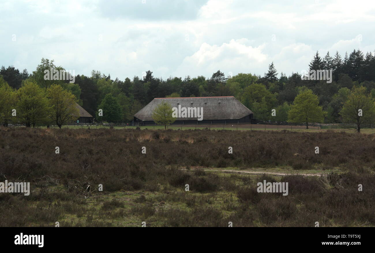 Typical dutch nature on a spring day in the Netherlands Stock Photo - Alamy