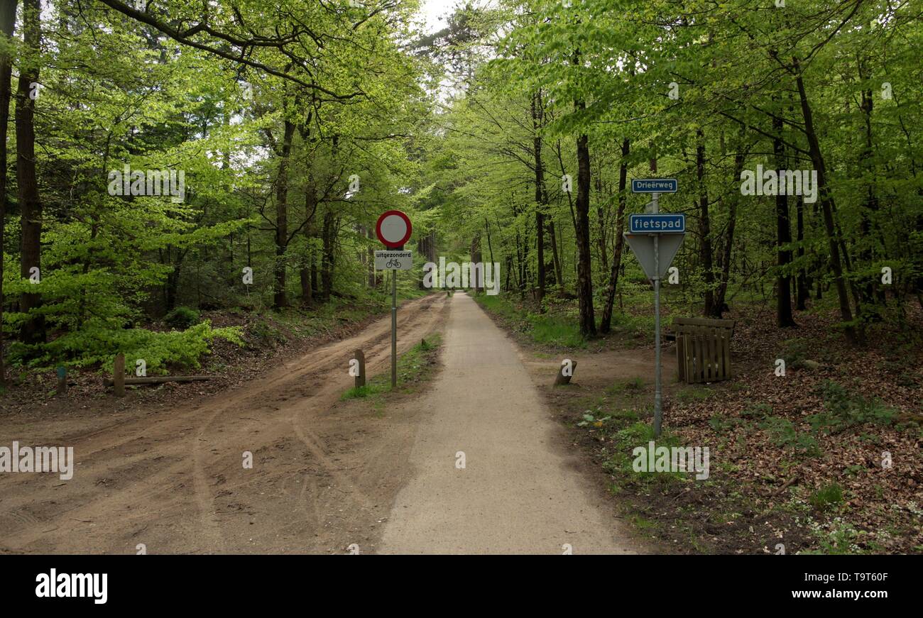 Dutch sign for bicyclists Stock Photo - Alamy