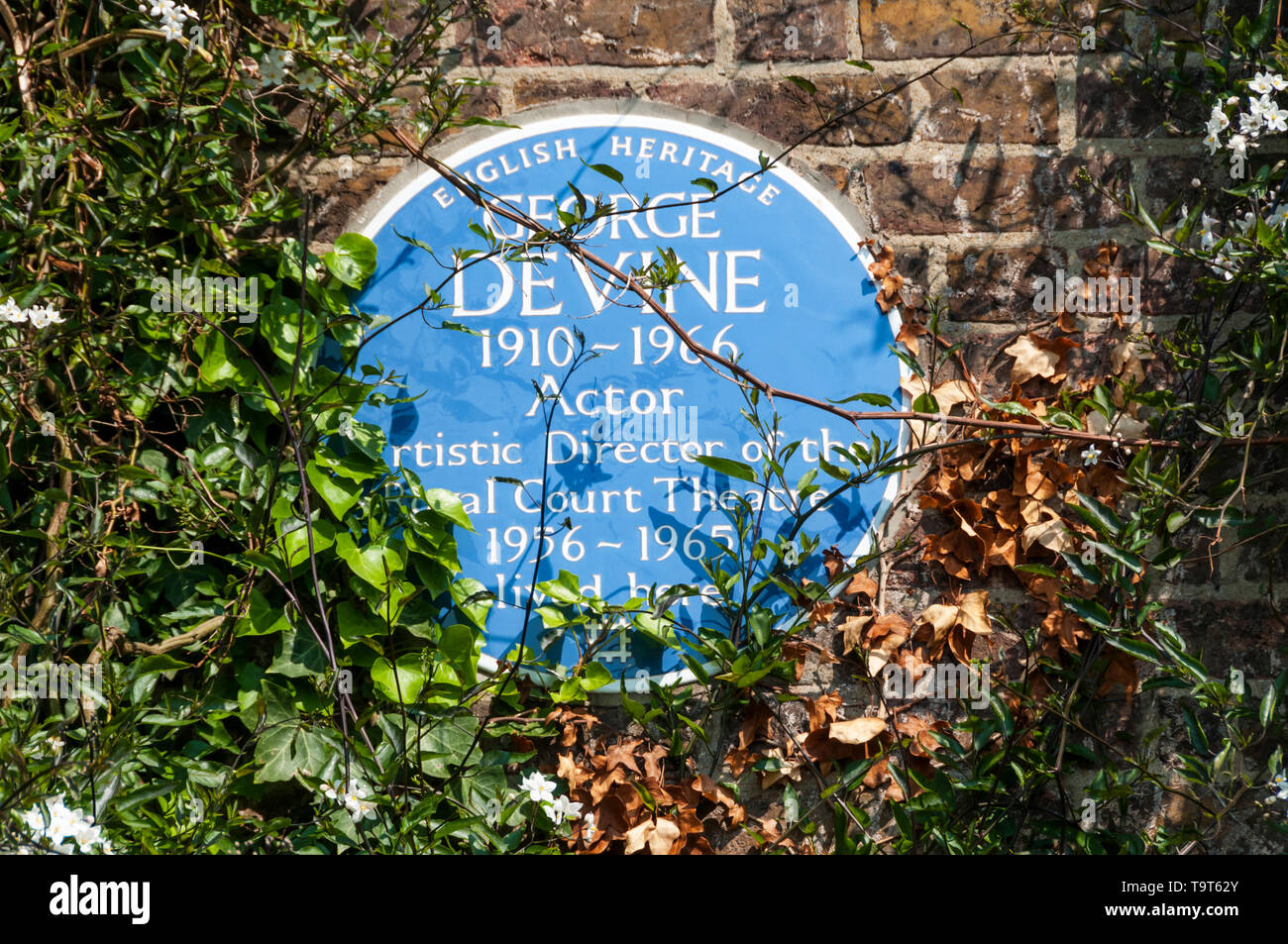 Almost overgrown blue plaque commemorating George Devine, artistic ...